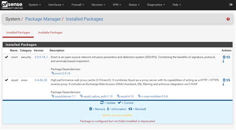 Set Up Pfsense As A Forward Proxy With Squid And Configure Access For