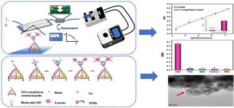 Microfluidic Magnetic Detection System Revolutionizes Tumor Derived