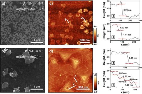 scanning electron micrographs a b of samples a and b respectively