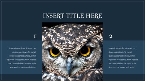 Owl Slide Ppt