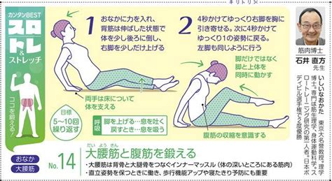 ＜カンタンbest スロトレ＆ストレッチ＞（14）大腰筋（だいようきん）と腹筋を鍛える：東京新聞デジタル