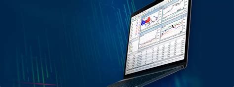 Платформа Metatrader 5 Mt5 скачать для ПК веб и мобильных устройств Roboforex