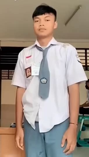 Capstone Object Detection Dataset And Pre Trained Model By Capstone