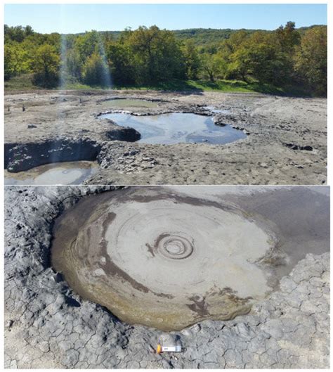 Microorganisms Special Issue Microbial Communities Involved In The Methane Cycle