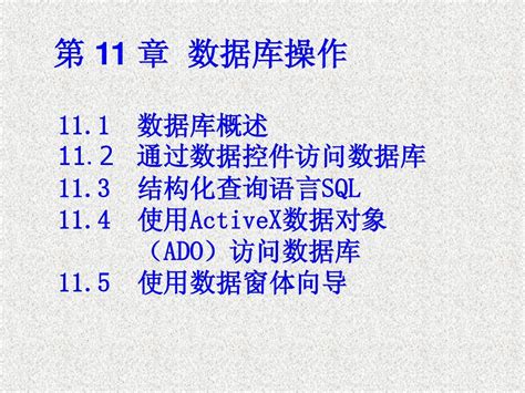 Vb二级第11章 数据库应用word文档在线阅读与下载无忧文档