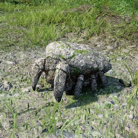 Stoneback Crabs