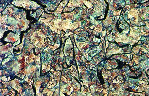 Etched Cast Iron Microstructure Image Ethos Engineering And Testing
