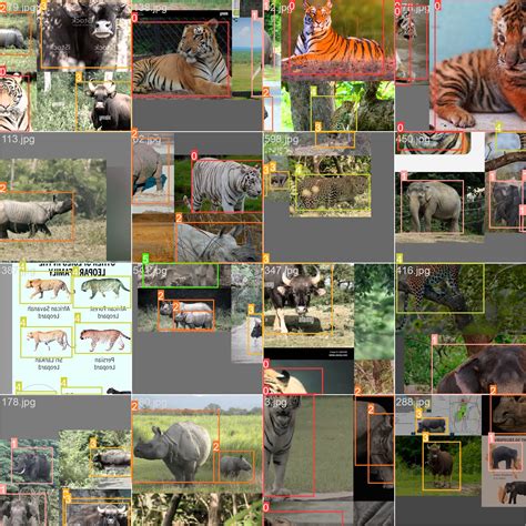 Wildlife Yolov8 Workspace Weights And Biases