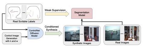 Scribblegen Generative Data Augmentation Improves Scribble Supervised