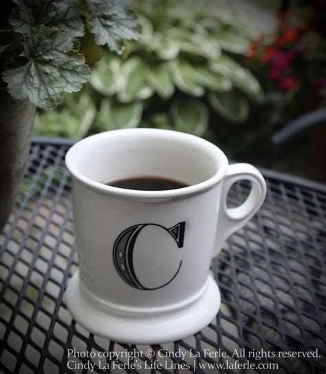 Getting quiet | Cindy La Ferle's Life Lines