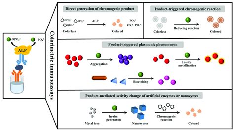 Scheme 3 Schematic Diagram Outlining The Alp Linked Colorimetric Download Scientific Diagram