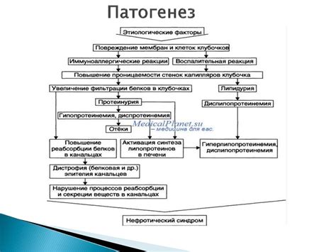 Нефротический синдром - презентация онлайн