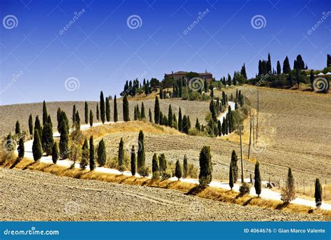 Colline Intorno A Siena Fotografia Stock Immagine Di Unico 4064676