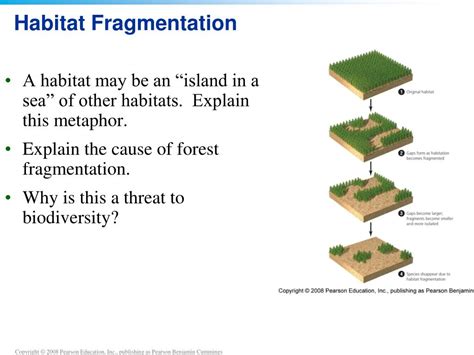 Habitat Fragmentation Solution At Charlene Ortega Blog