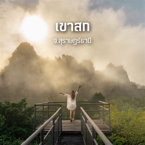 Sneak 🌧️ เขาสก 🌿 สัมผัสขุนเขาแห่งป่าฝนในแดนใต้ให้ ถูกโอบล้อมไปด้วยต้นไม้ ภูเขา ลำเนาไพร อุดม