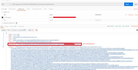 Read Image From Private GitHub Repository Programmatically Using C Stack Overflow