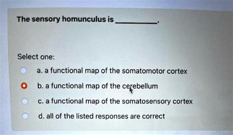 Solved The Sensory Homunculus Is Select One A A Functional Map Of