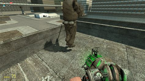 Can Anyone Help Methis Happens With Some Npc S R Gmod