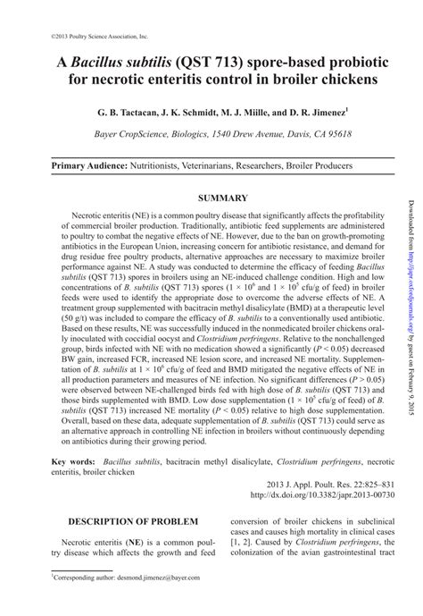 Pdf A Bacillus Subtilis Qst 713 Spore Based Probiotic For Necrotic Enteritis Control In