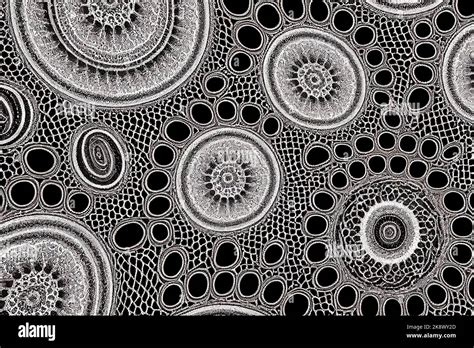 Fractal Geometric Shape With Detailed Structure An Illustration Of The