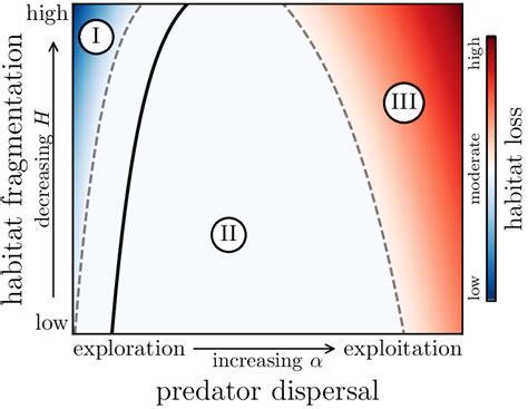Schematic Phase Diagram That Illustrates Model Outcomes For Population