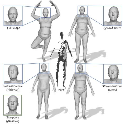 Comparison With Fixed Template Ablation Experiment Download