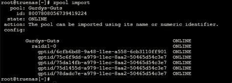 Hanging Process Lead To Not Being Able To Mount Pool Attempting Import