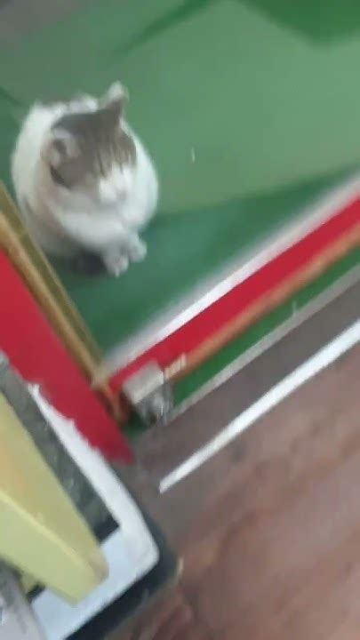 너무귀엽다 Youtube