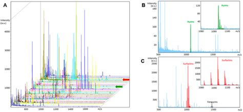Detection Of Helms In The Si Panel A Maldi Tof Analysis Of 30 Download Scientific Diagram