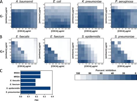 Chenodeoxycholic Acid Amikacin Combination Enhances Eradication Of
