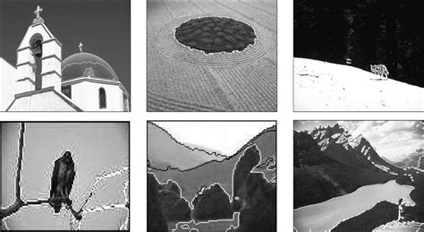 Example Of Segmentation Results With Natural Images From The Berkeley Download Scientific