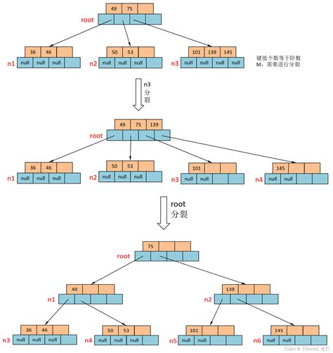 c 数据结构：b树 c b树 csdn博客