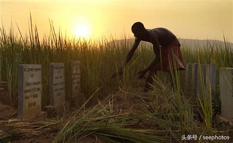 地球上最恐怖的病毒，染上者无一幸免，是生物恐怖主义的工具之一