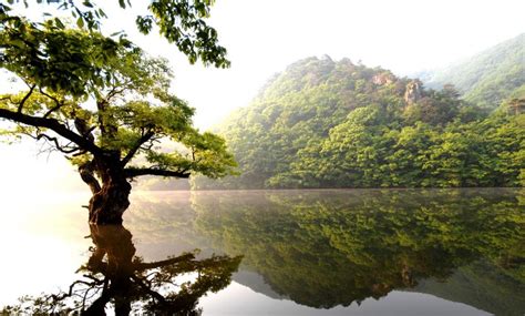 청송 출신 연예인 프로필 모음 아이돌 가수 배우 여배우 남배우 여자 배우 남자 배우 남자 연예인 여자 연예인 여가수 남가수 야구선수 축구선수 개그맨