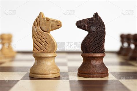 棋盘上的骑士决斗