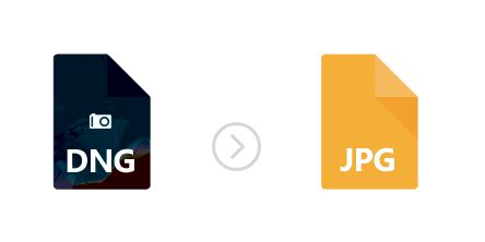 Convert DNG To As Easy As ReaConverter