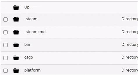 How To Add Plugins To A Csgo Server Apex Hosting
