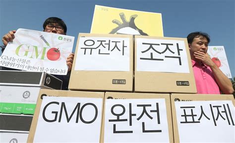 Gmo 표시 개선 위한 식품위생법 개정하라 연합뉴스