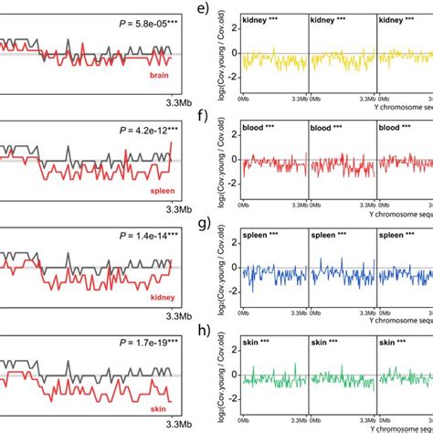 Normalized Sequencing Coverage Of Full Y And X Chromosomes In Samples