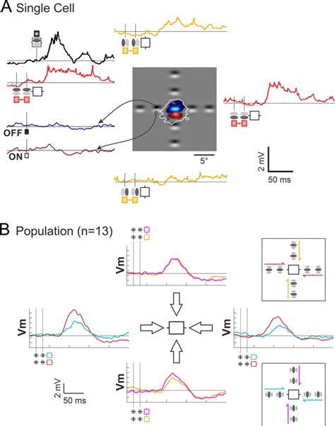Spatio Temporal And Axial Selectivity Of Surround Only Responses To