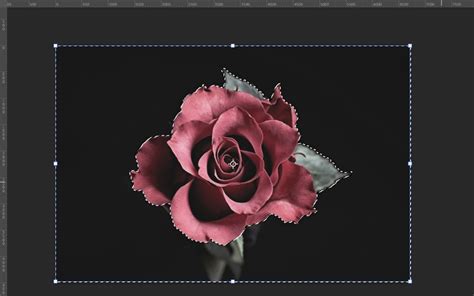 How To Delete A Selection In Photoshop Brendan Williams Creative