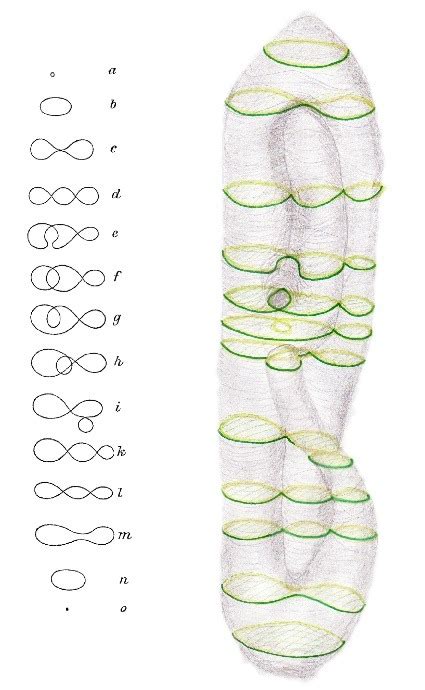 The Real Projective Plane Imaginary
