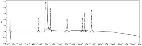 Chromatogram Of Peak Identification Solution Analyzed With Initial