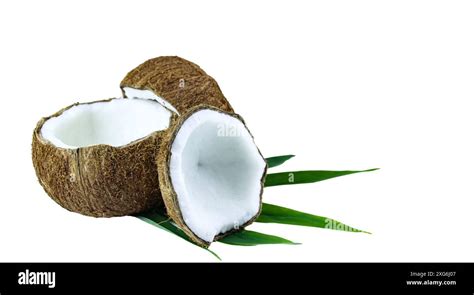 A Close Up Photograph Of A Mature And Open Coconuts Isolated On A White