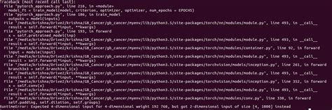 Error While Stacking Custom Layers Over Inception V3 Network Vision