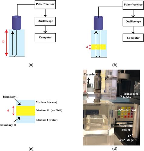 Schematic Representation Of The Pulse Echo Technique A Without A Download Scientific Diagram