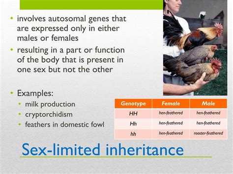 Ppt Non Mendelian Genetics Powerpoint Presentation Free Download Id4643067