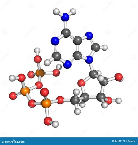 Adenosine Triphosphate Structure Stock Illustration Illustration Of Bioinformatics Ball 24132171