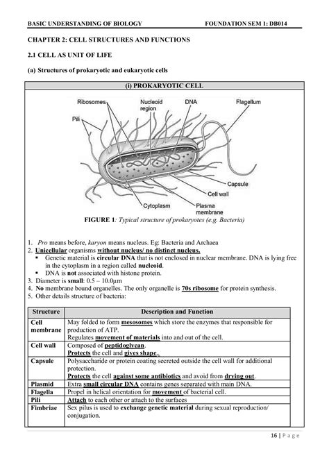 chapter 2 cell structure and cell organisation anjung chapter 2 cell