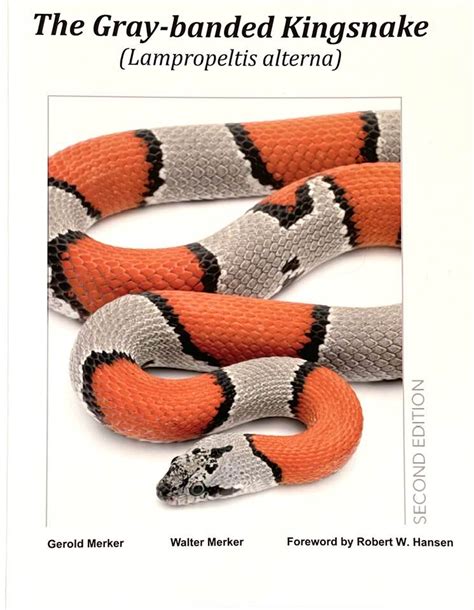 The Gray Banded Kingsnake Paper Back 2nd Edition Eco Wear